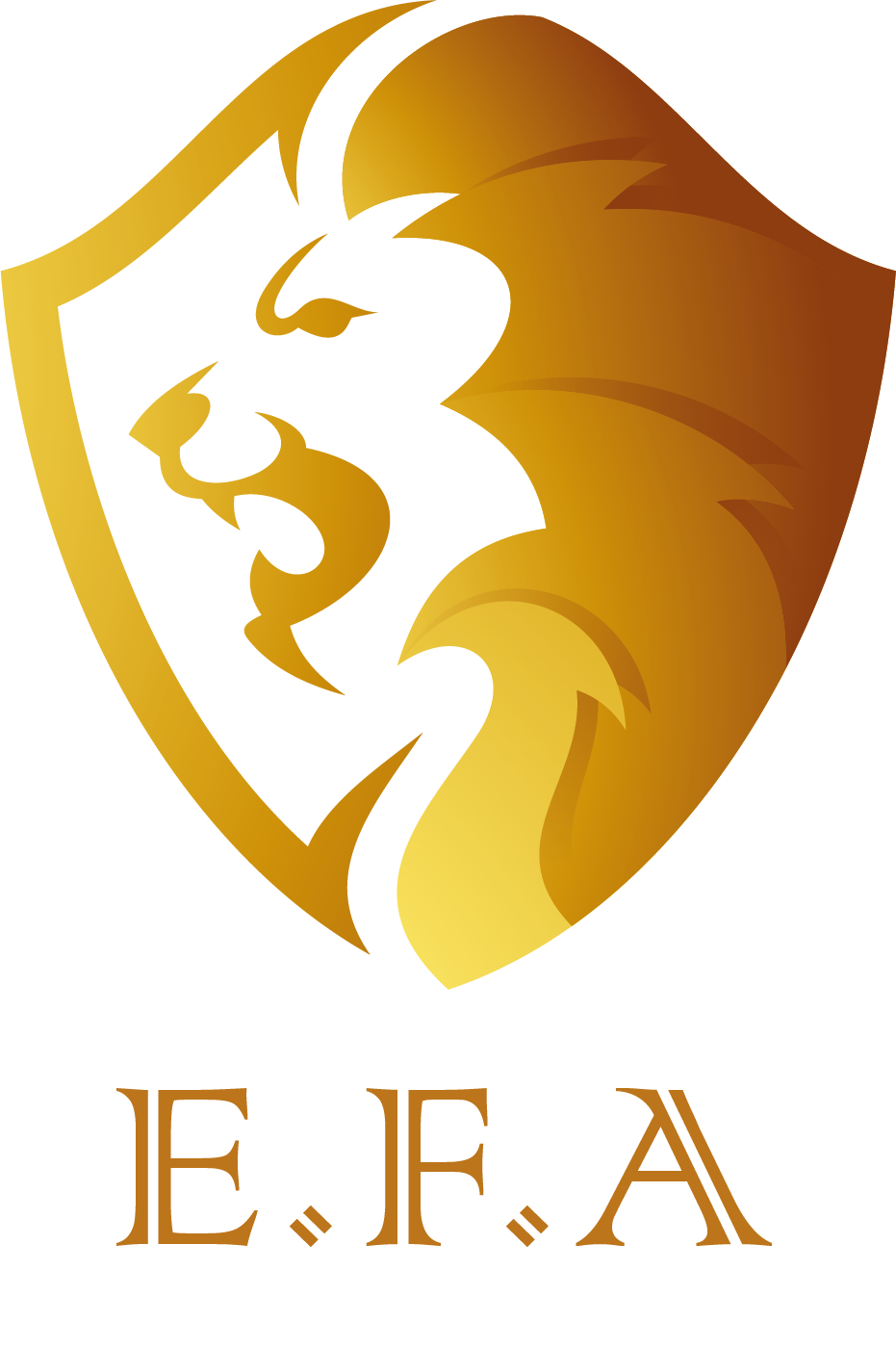 Elite Football Academy